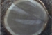 Log Sales | Midwest Hardwood Company