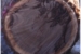 Log Sales | Midwest Hardwood Company