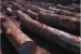 Log Sales | Midwest Hardwood Company